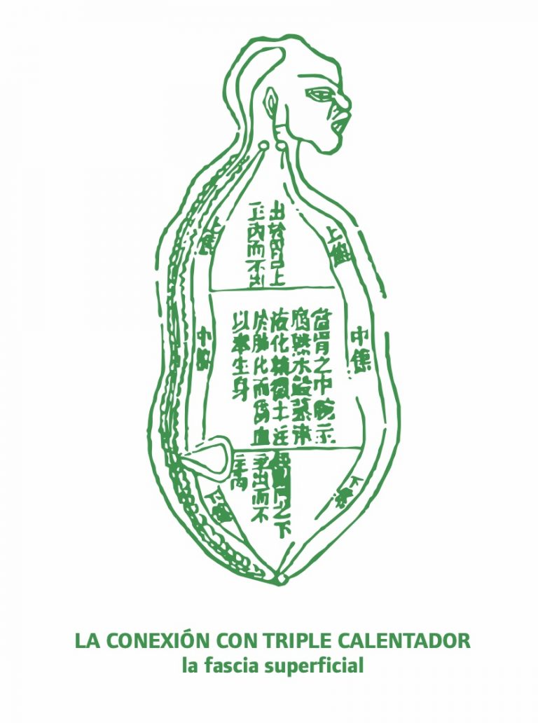 Reflexiones sobre el Triple Calentador - APSE Shiatsu